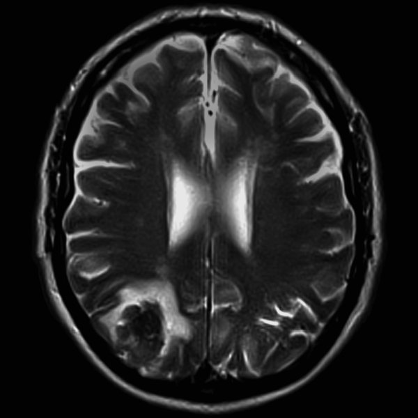 Chinese Gen MRI Center - Services