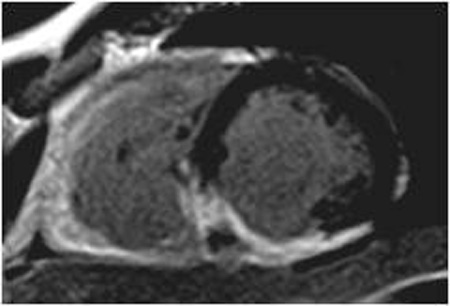 Chinese Gen MRI Center - Services