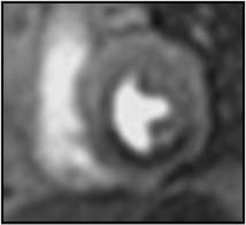 Chinese Gen MRI Center - Services